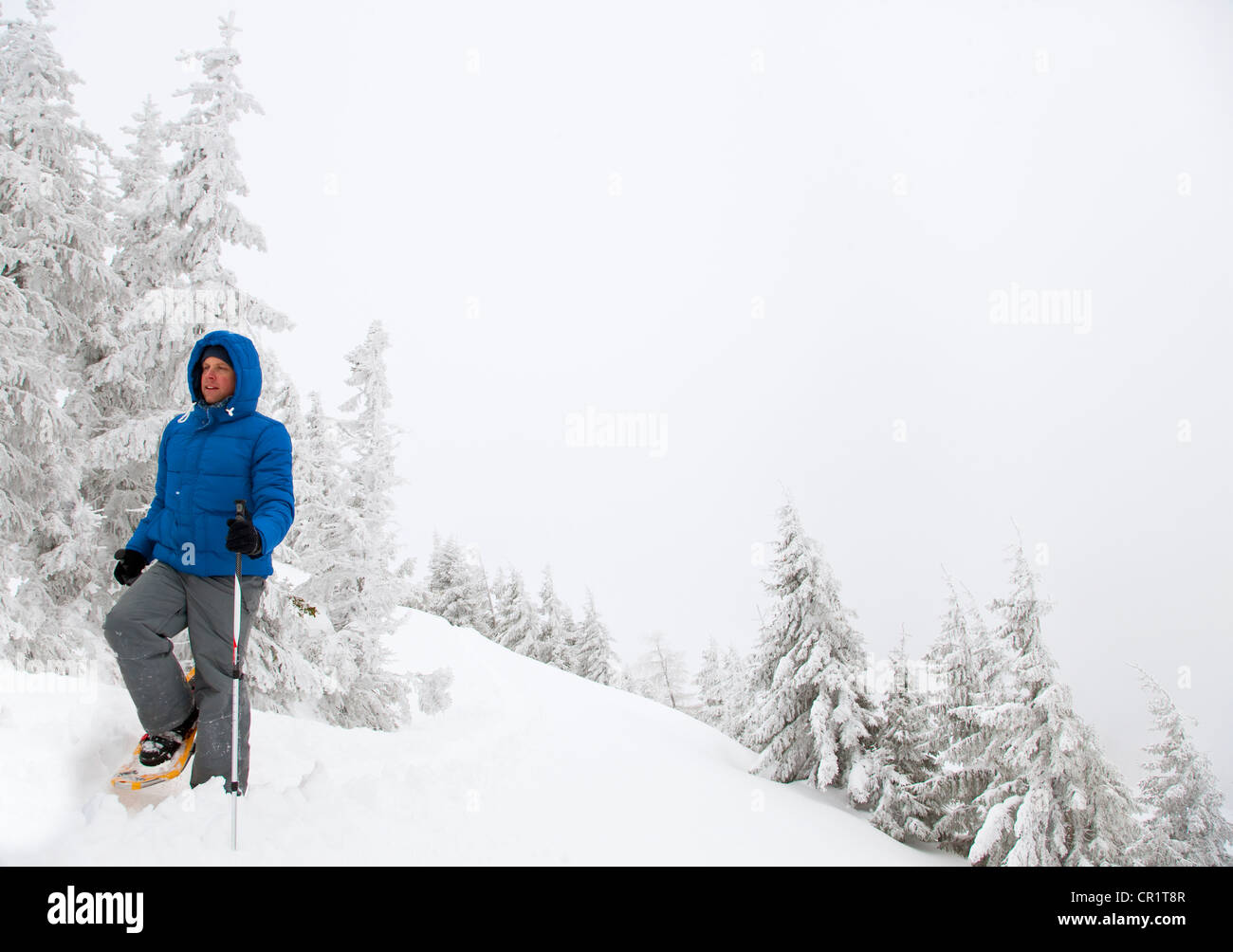 Cool man 30's full length hi-res stock photography and images - Alamy