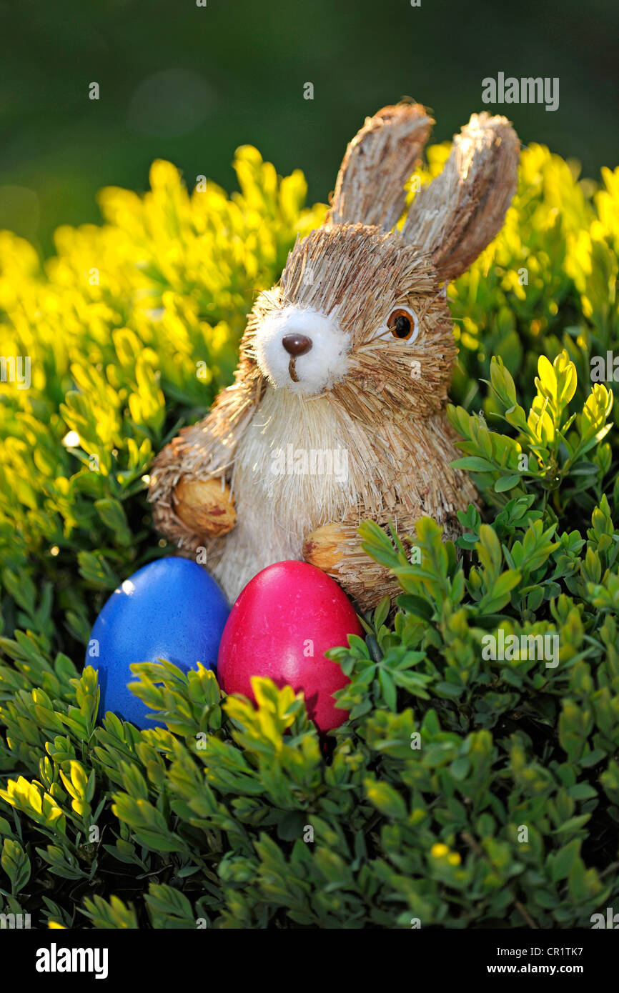 Easter bunny figure with brightly coloured Easter eggs Stock Photo - Alamy