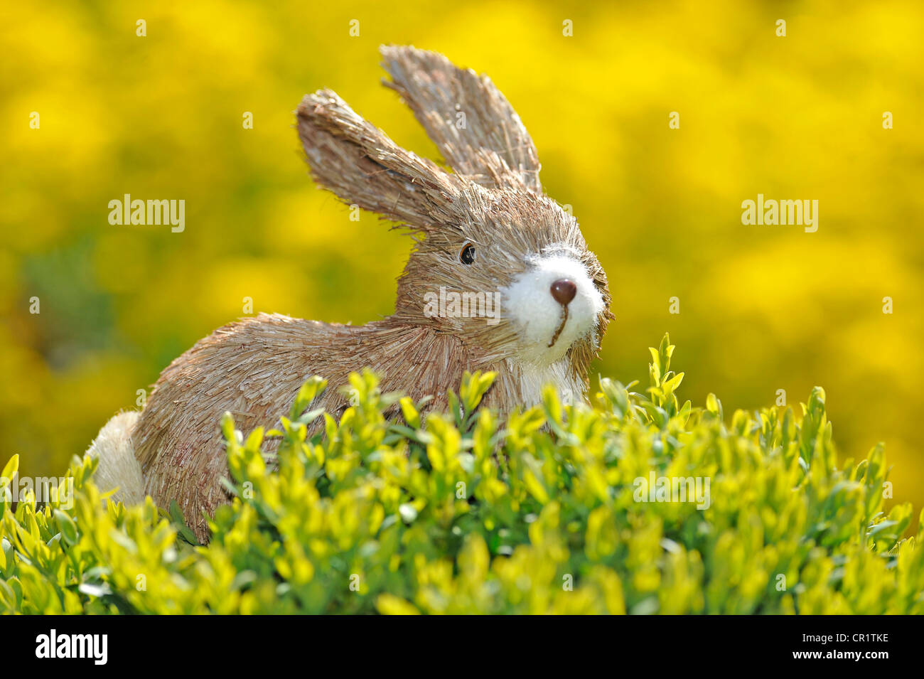 Bunny figure hi-res stock photography and images - Alamy