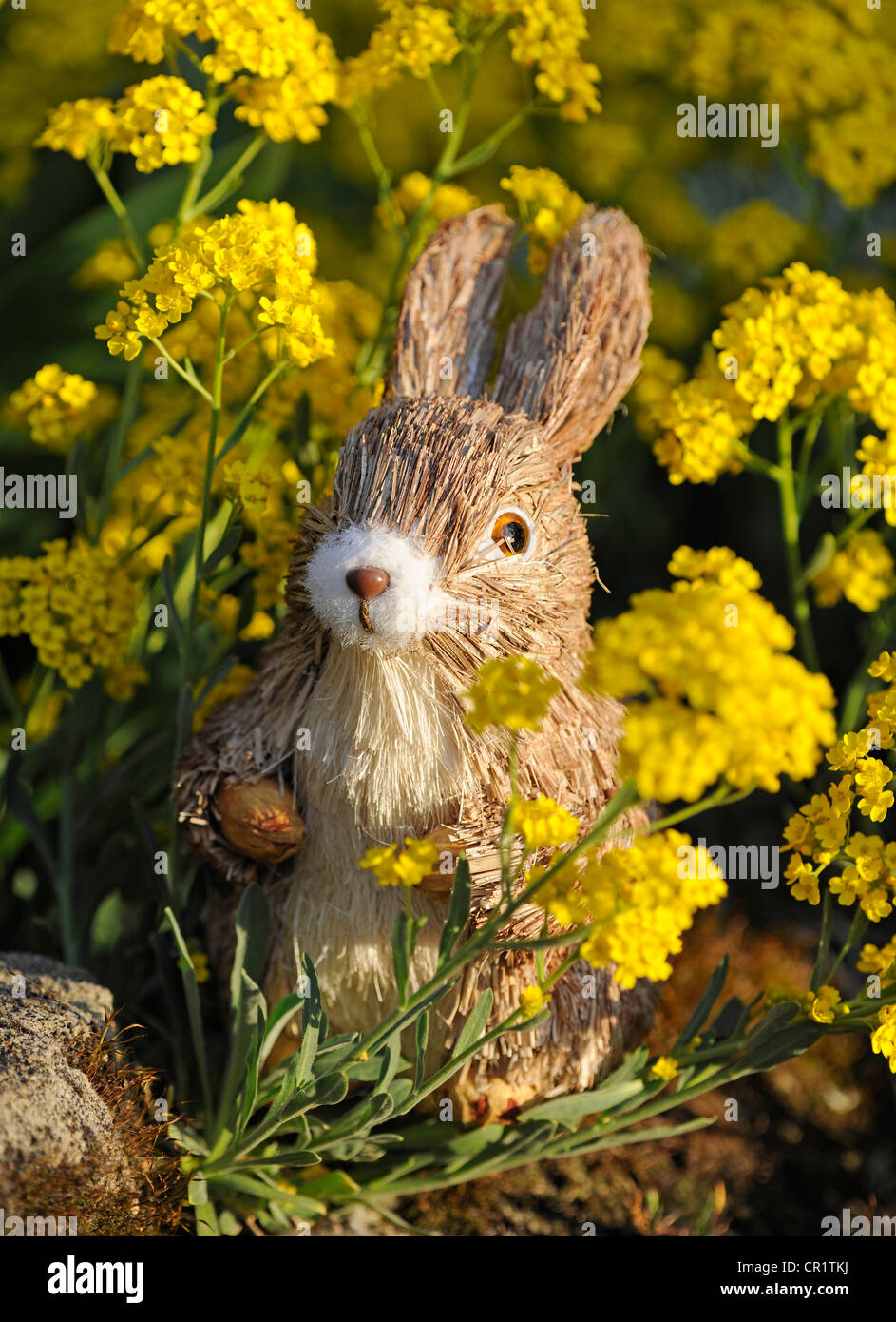 Bunny figure hi-res stock photography and images - Alamy