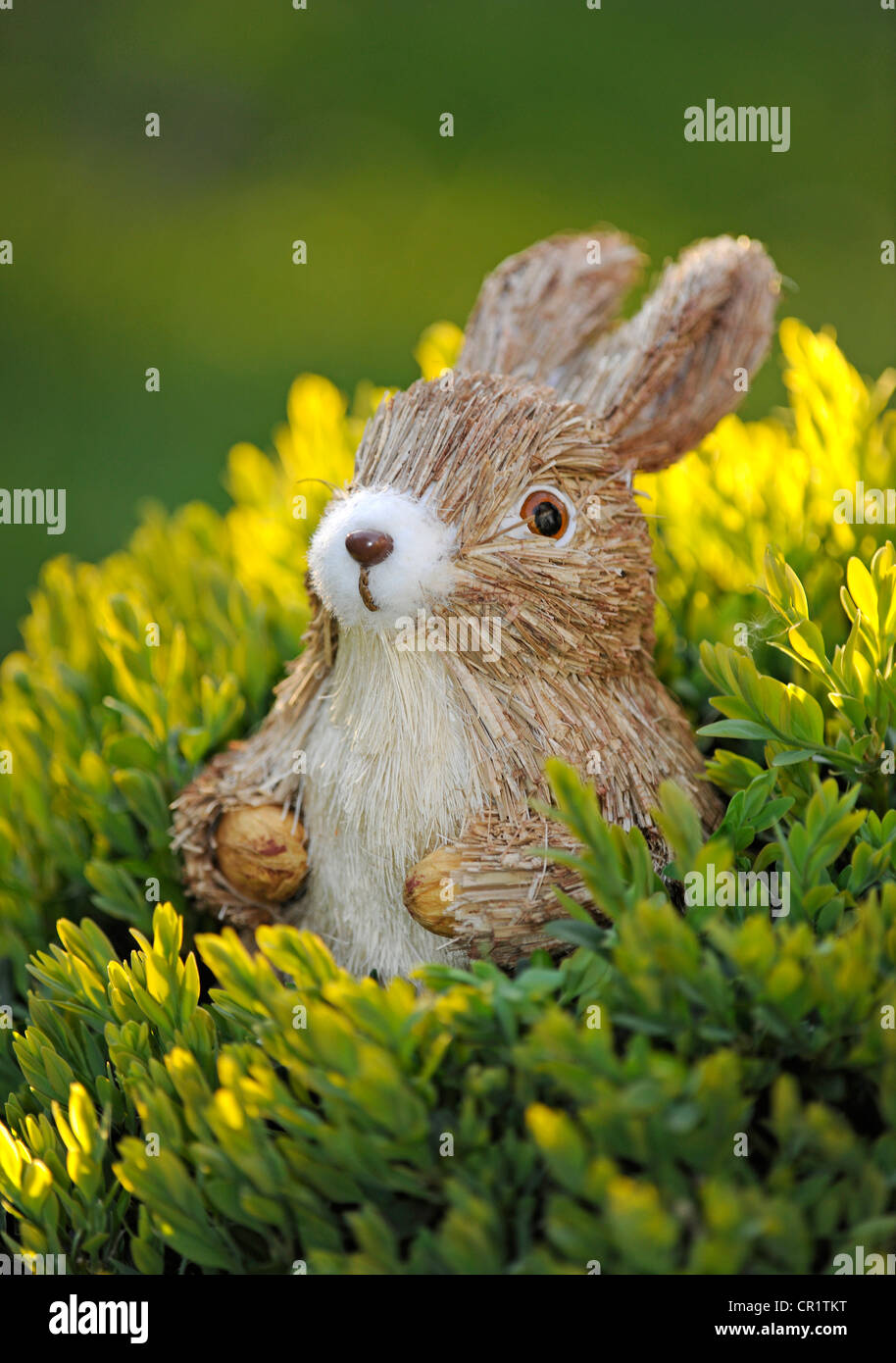 Bunny figure hi-res stock photography and images - Alamy