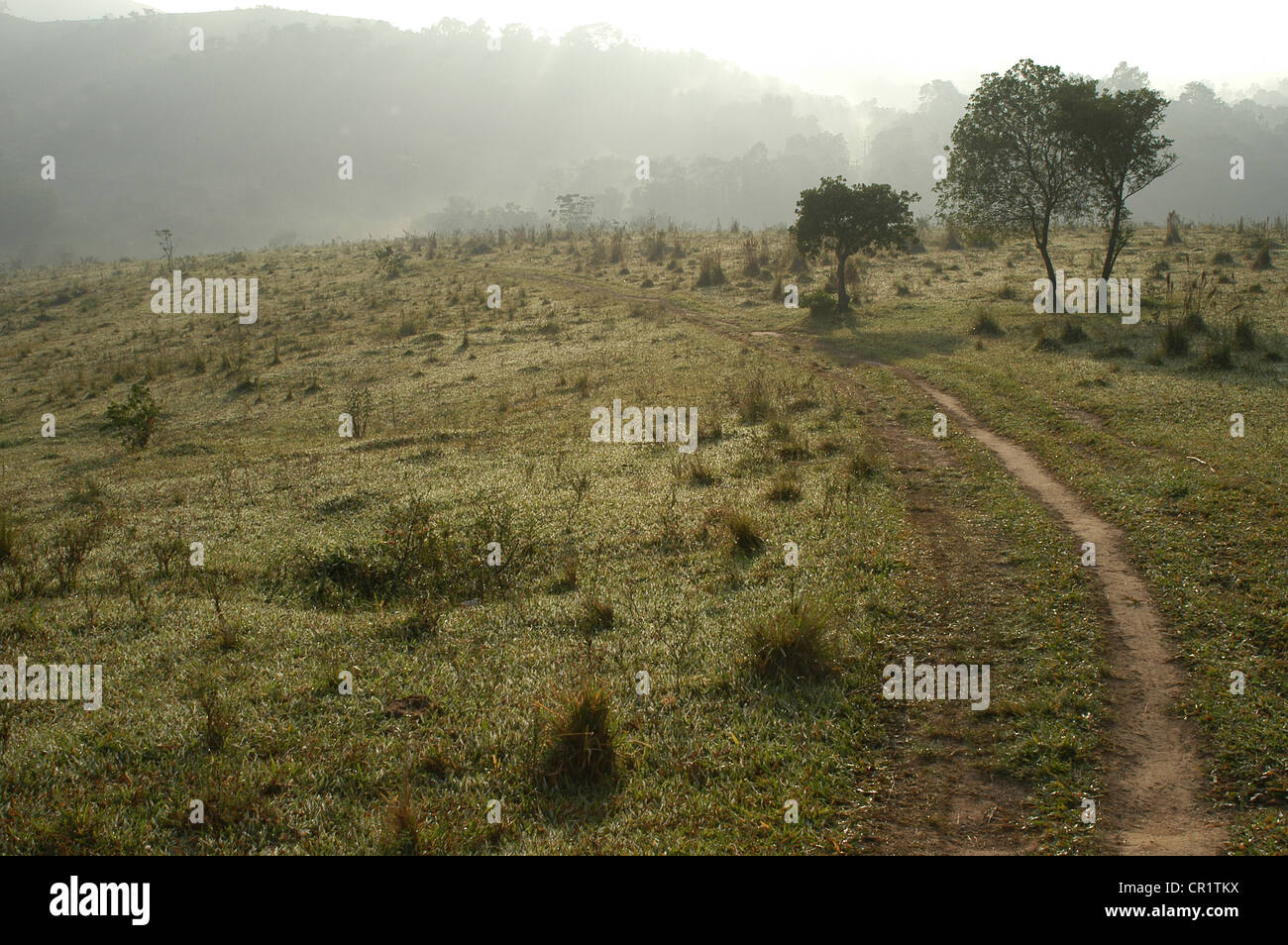Path in the field Stock Photo - Alamy