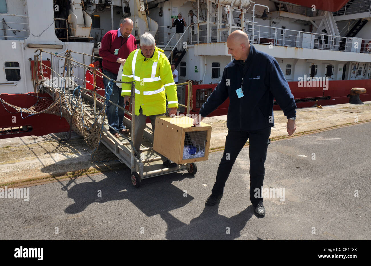 Animal transport hi-res stock photography and images - Alamy