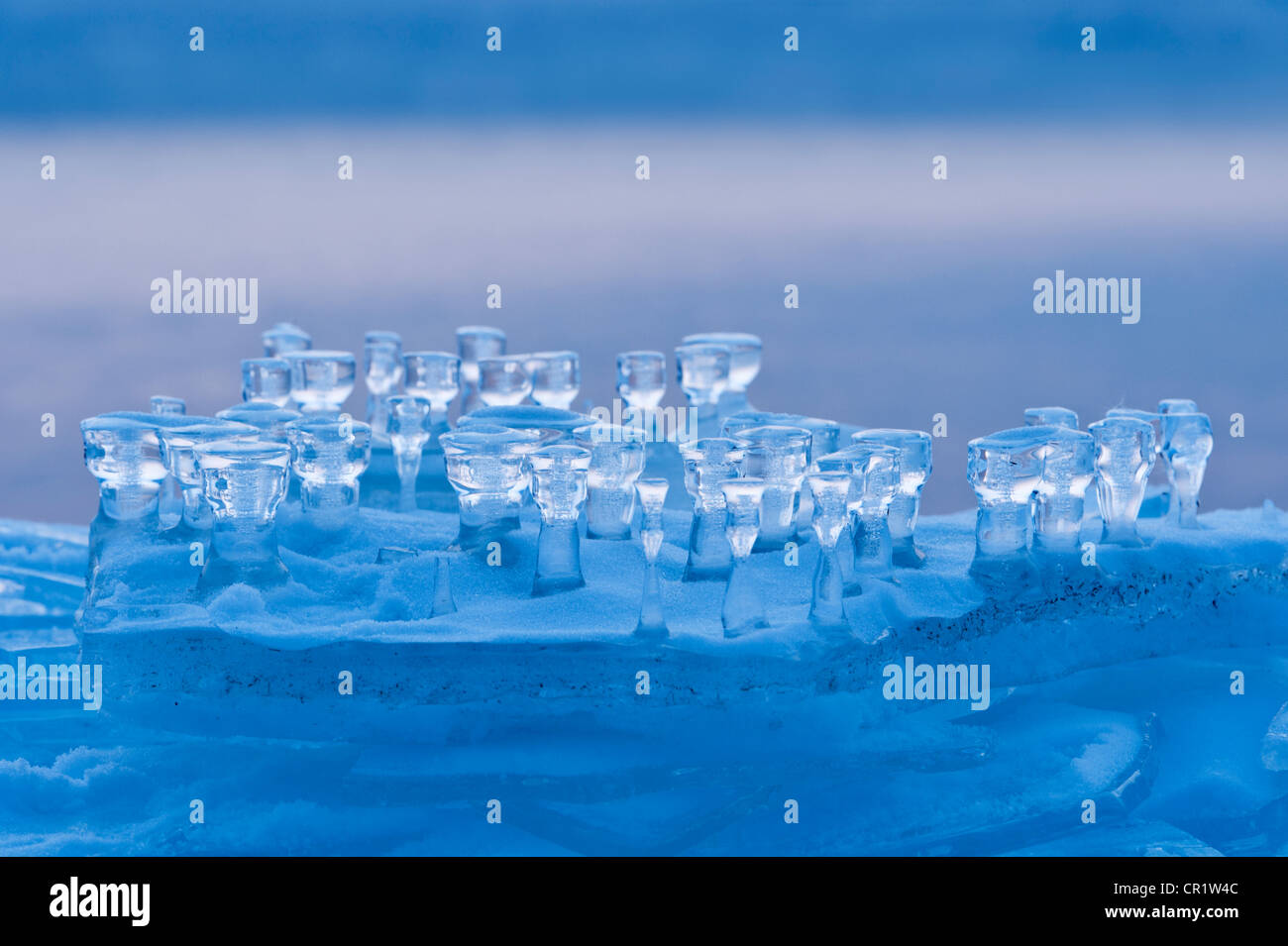 Ice formation on an ice floe Stock Photo - Alamy