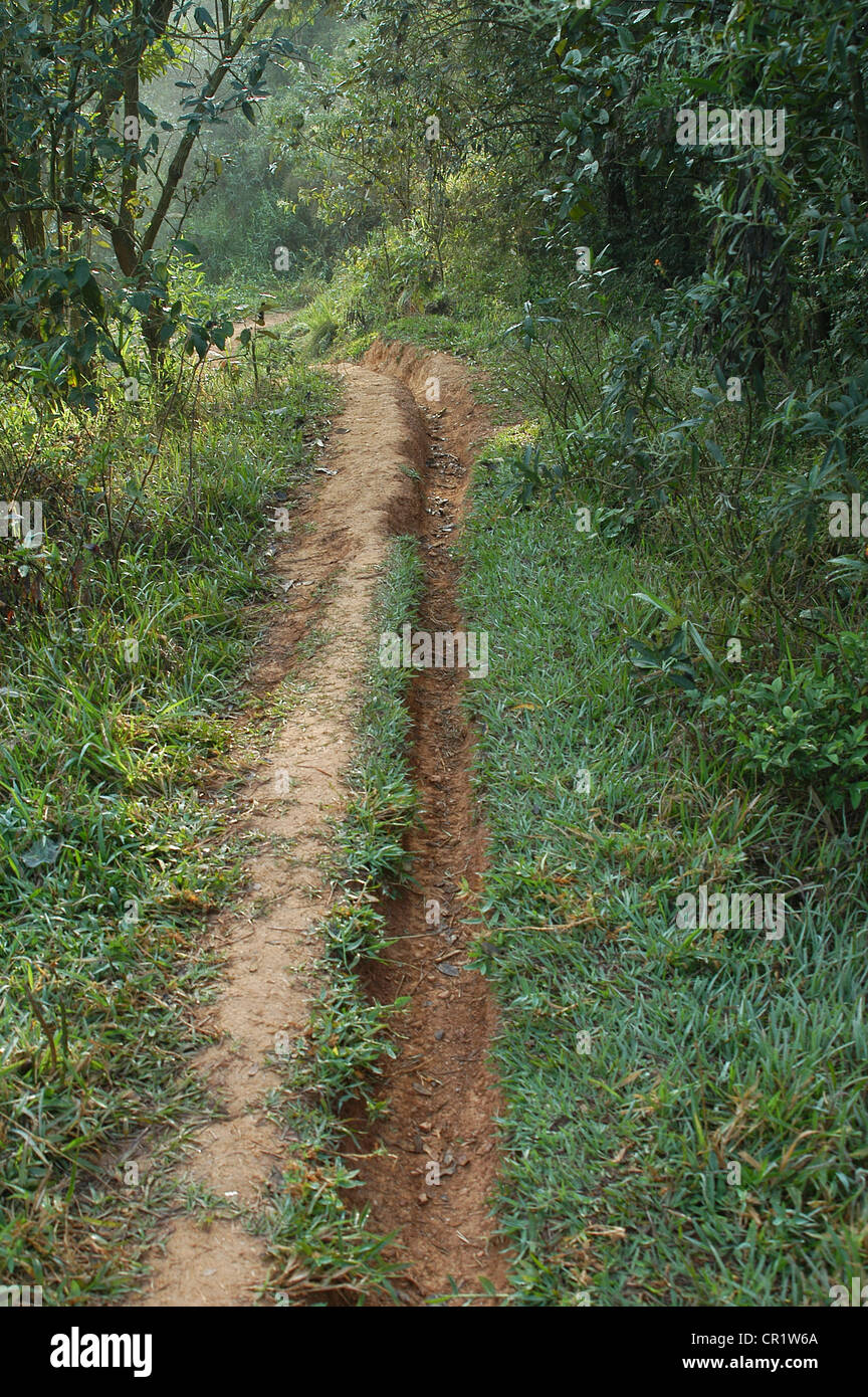 Pathway in the field Stock Photo - Alamy