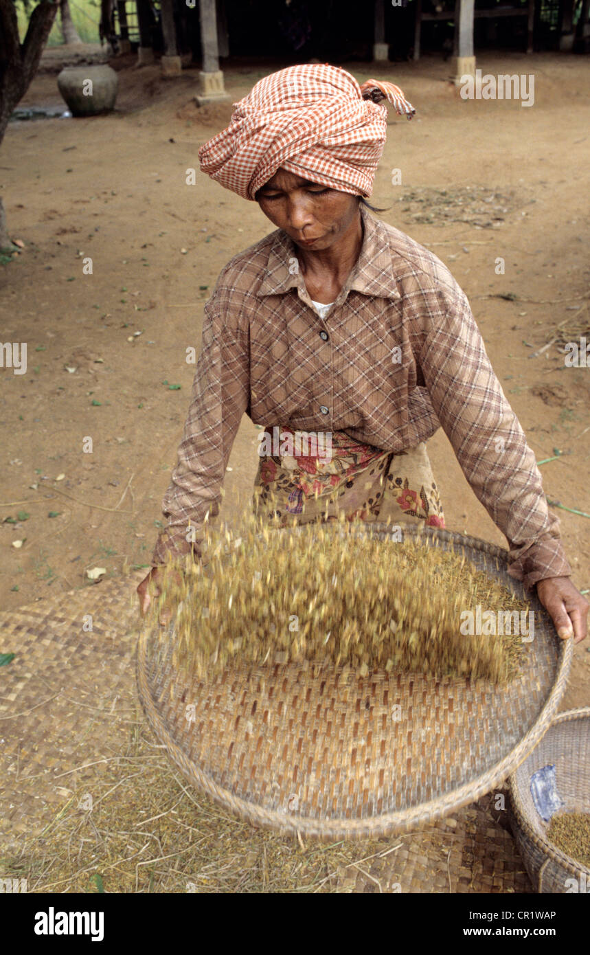 Winnowing hi-res stock photography and images - Alamy