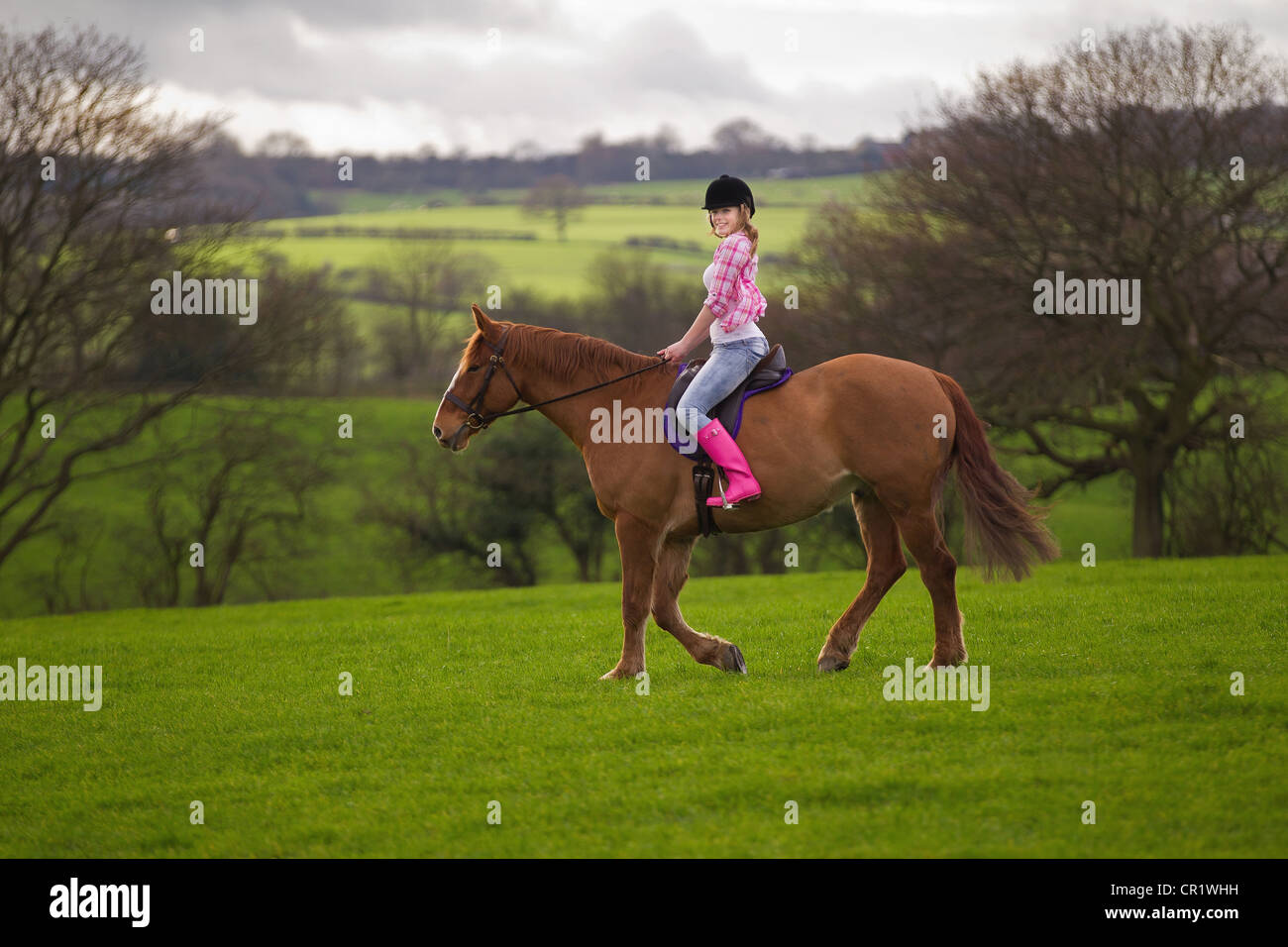 Teenage girl riding horse in field Stock Photo - Alamy