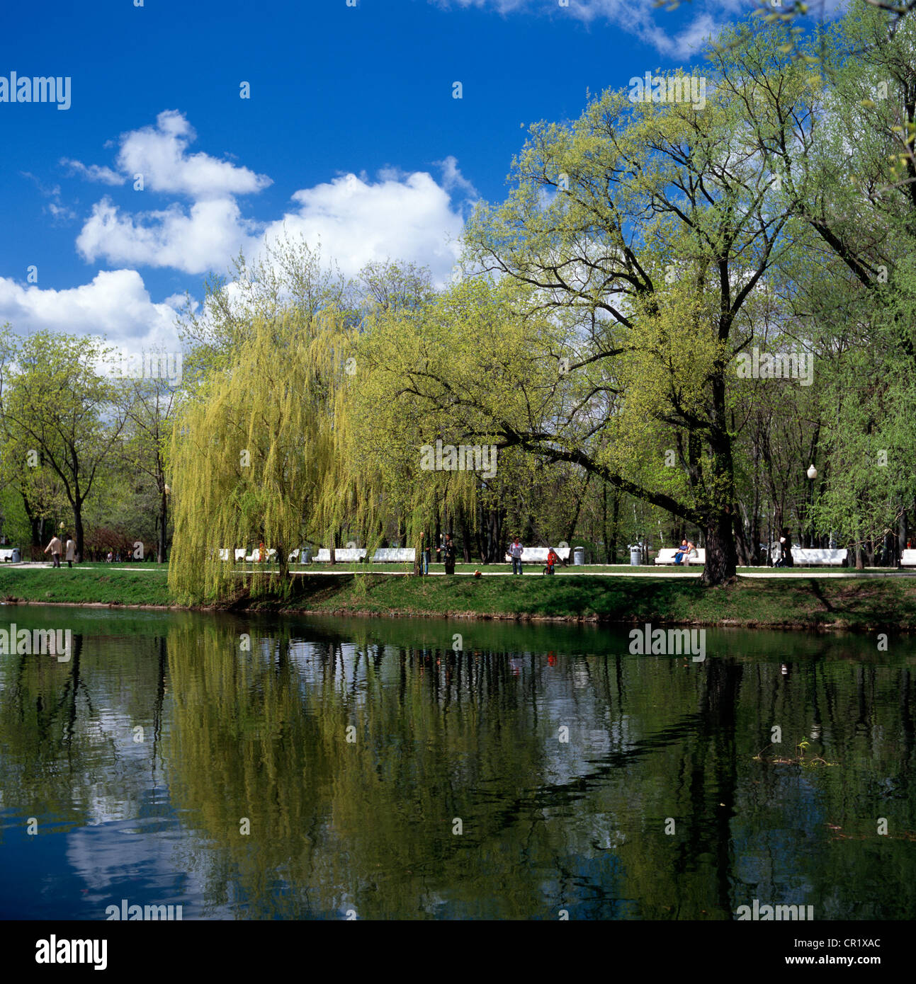Novodevichy monastery pond Stock Photo - Alamy