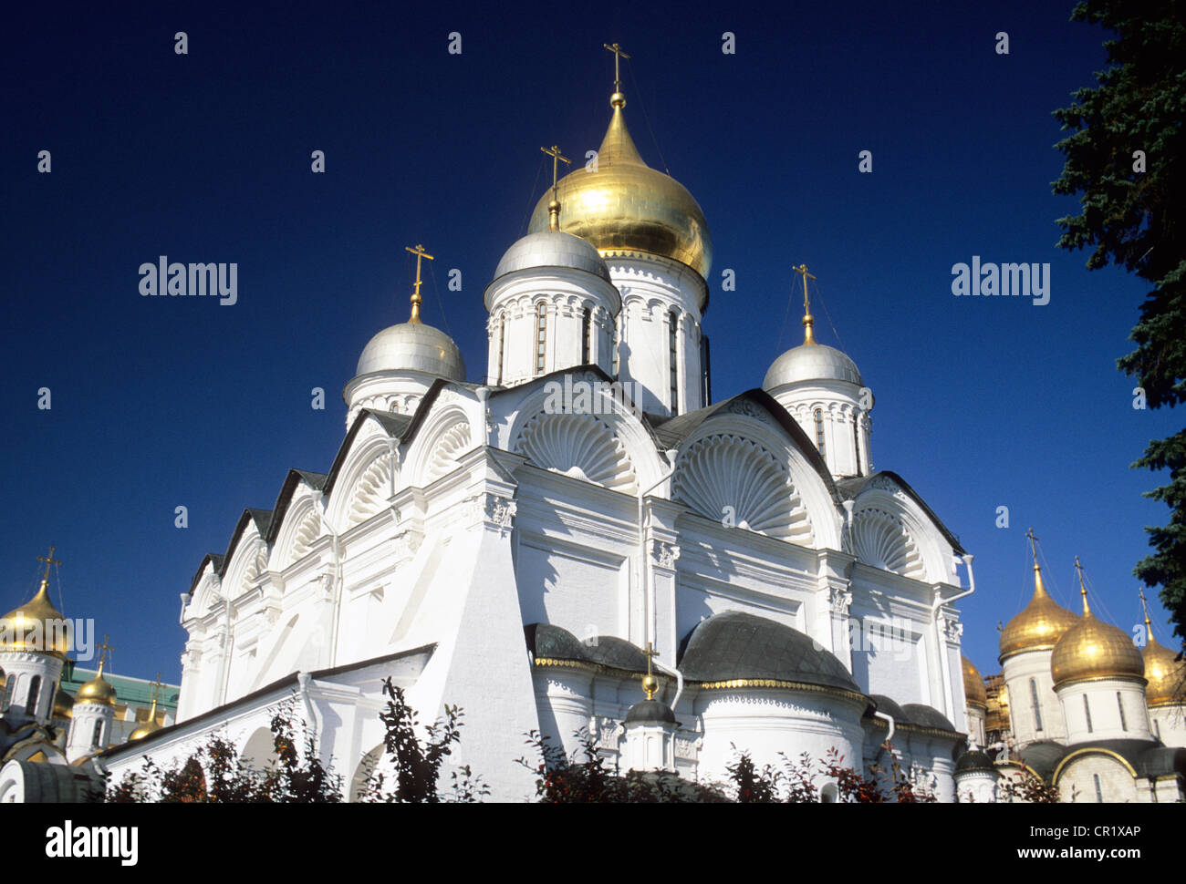 Russia, Moscow, the Kremlin, UNESCO World Heritage, cupolas of the ...