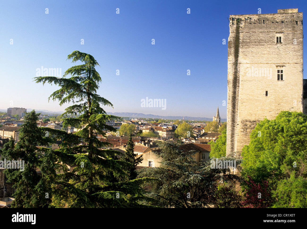 France, Vaucluse, Avignon, panorama over the city from the garden ...