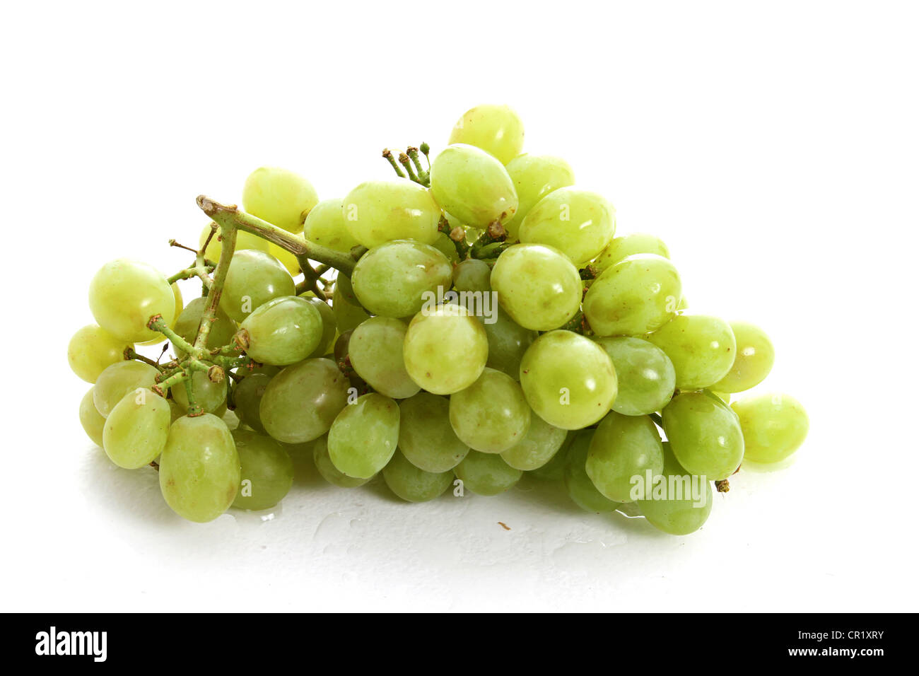 Green Grape bunch on a white background Stock Photo - Alamy