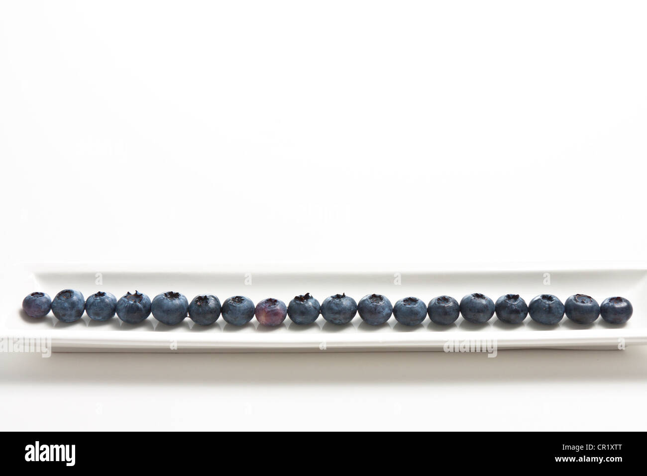 Fresh blueberries in a horizontal row isolated against white background ...