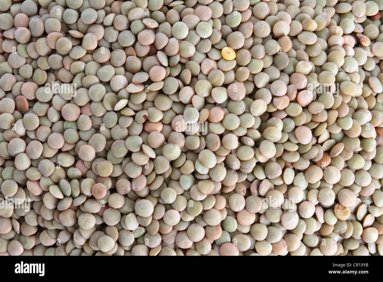 Close up of a bowl of lentil beans Stock Photo - Alamy