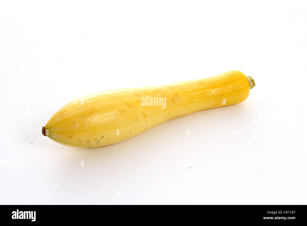 Single summer squash on a white background Stock Photo - Alamy