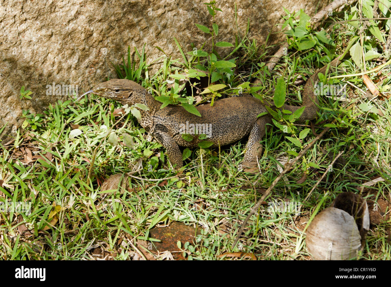 Tongue of land hi-res stock photography and images - Alamy