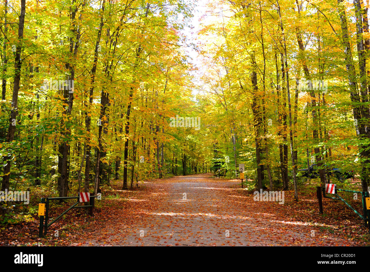 Hiawatha National forest in Michigan Upper peninsula during autumn fall ...
