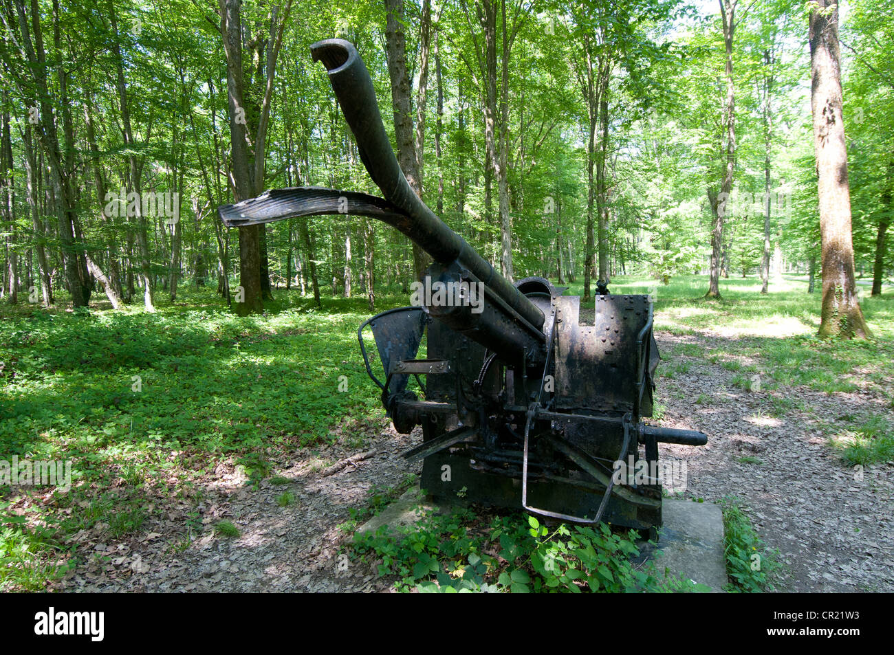 Ww1 artillery hi-res stock photography and images - Alamy