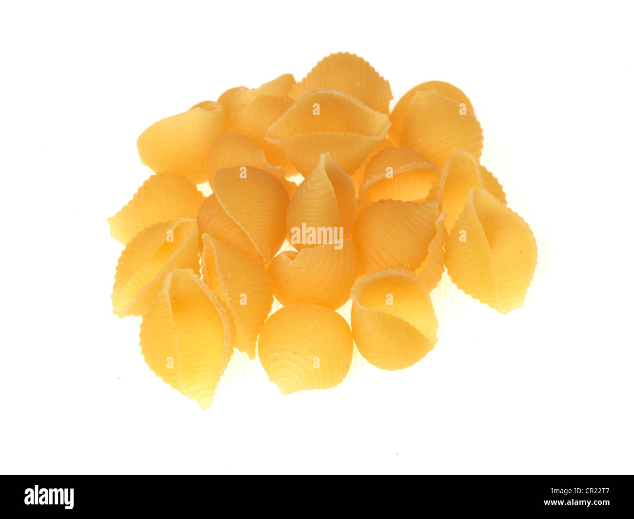 Dry conchiglie pasta shells hi-res stock photography and images - Alamy