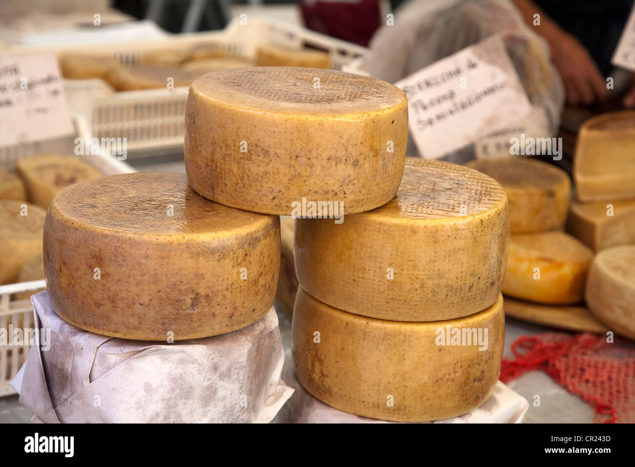 Close up of cheese wheels for sale Stock Photo - Alamy