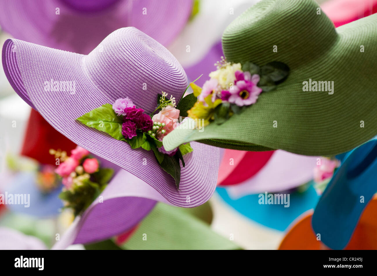 Colourful spring hi-res stock photography and images - Alamy