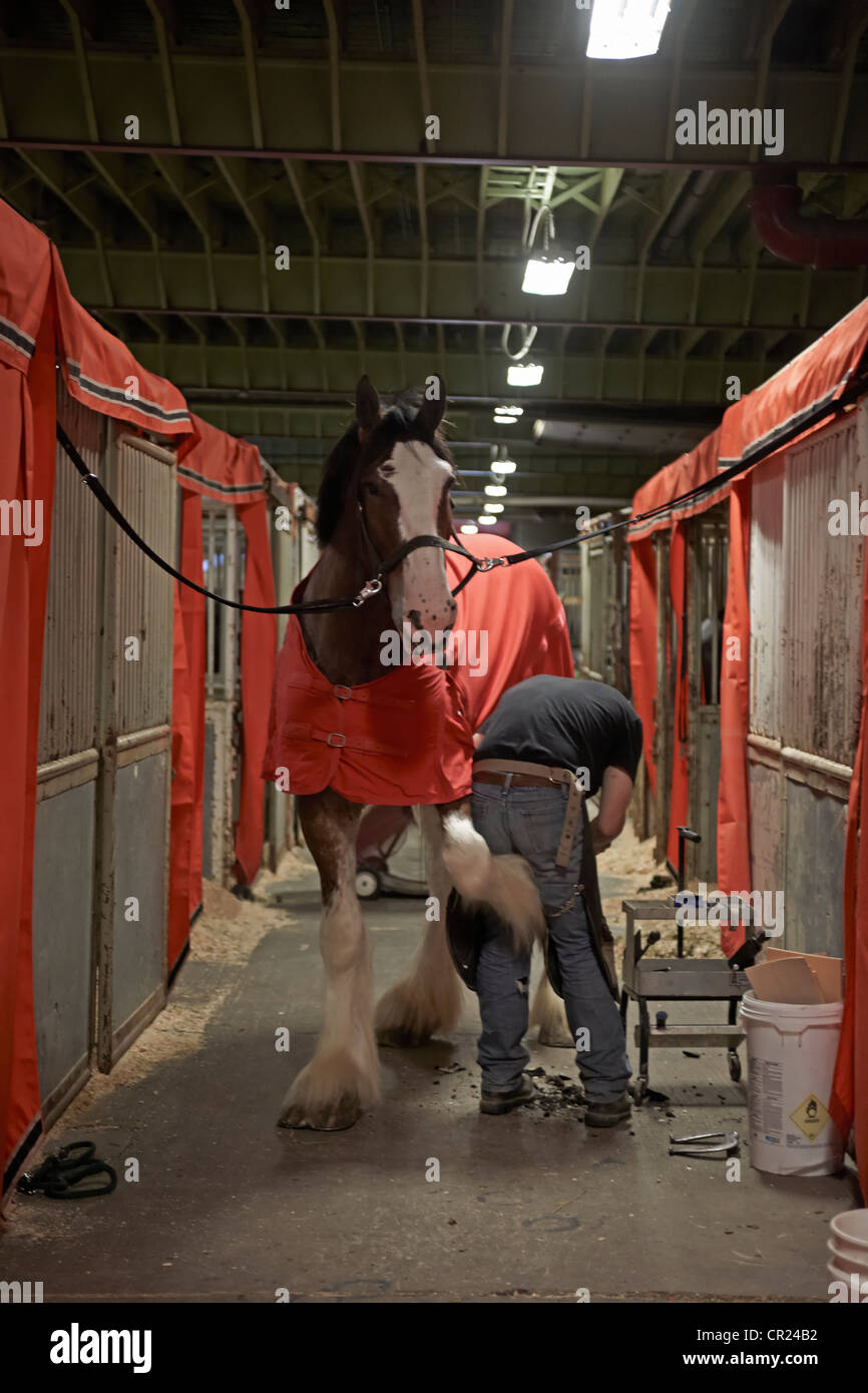 Shod hi-res stock photography and images - Alamy