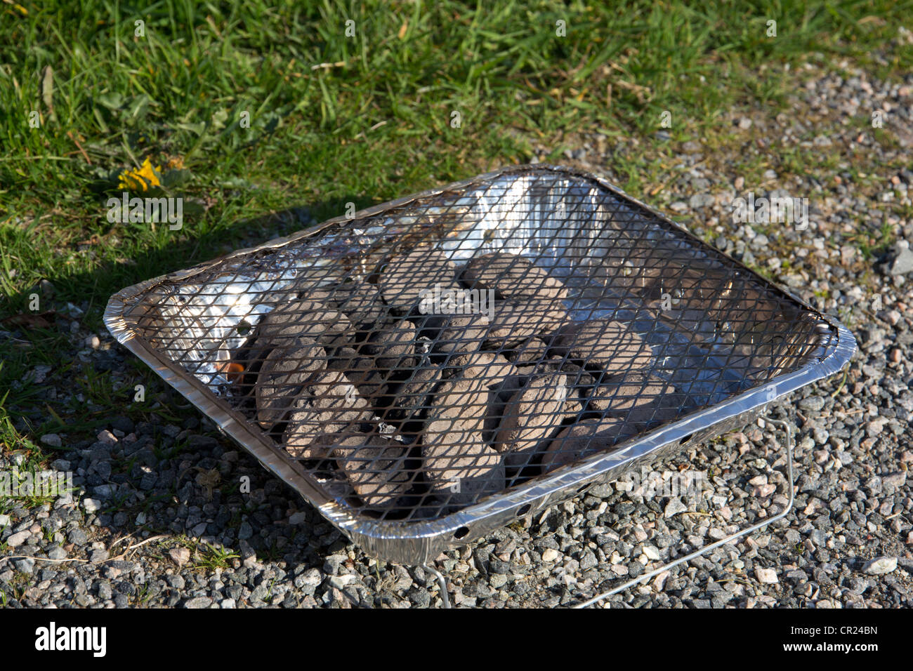 A picture of a one time use barbeque grill Stock Photo - Alamy