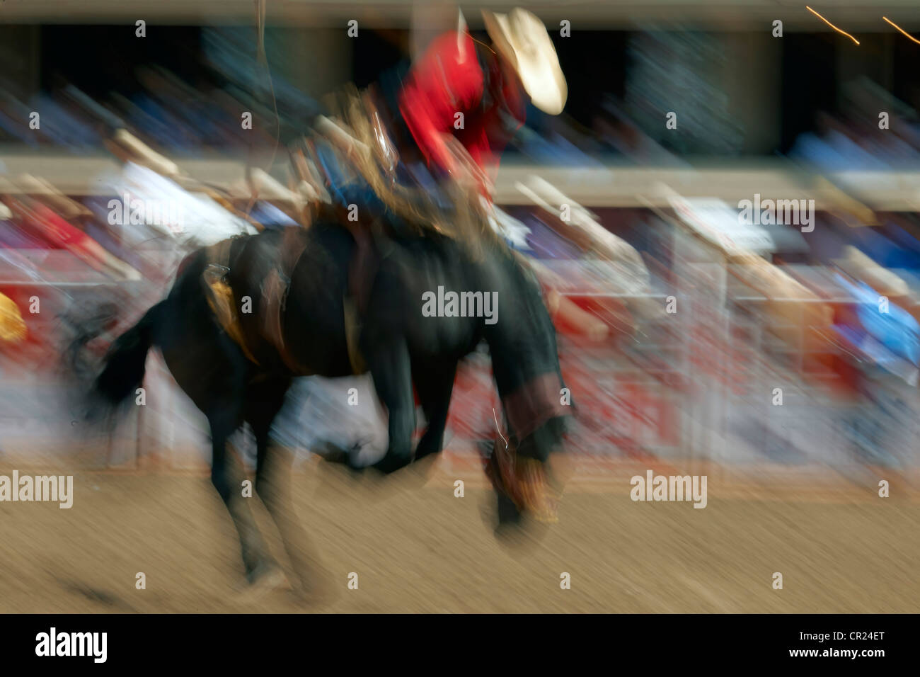 cowboy riding a bucking bronco at the Calgary Stampede Stock Photo - Alamy