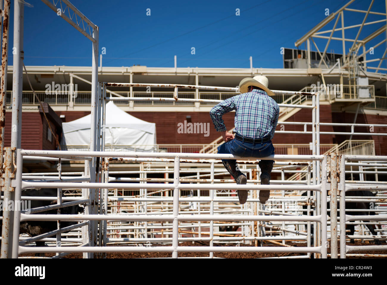 cowboy sitting on corral fence Stock Photo - Alamy