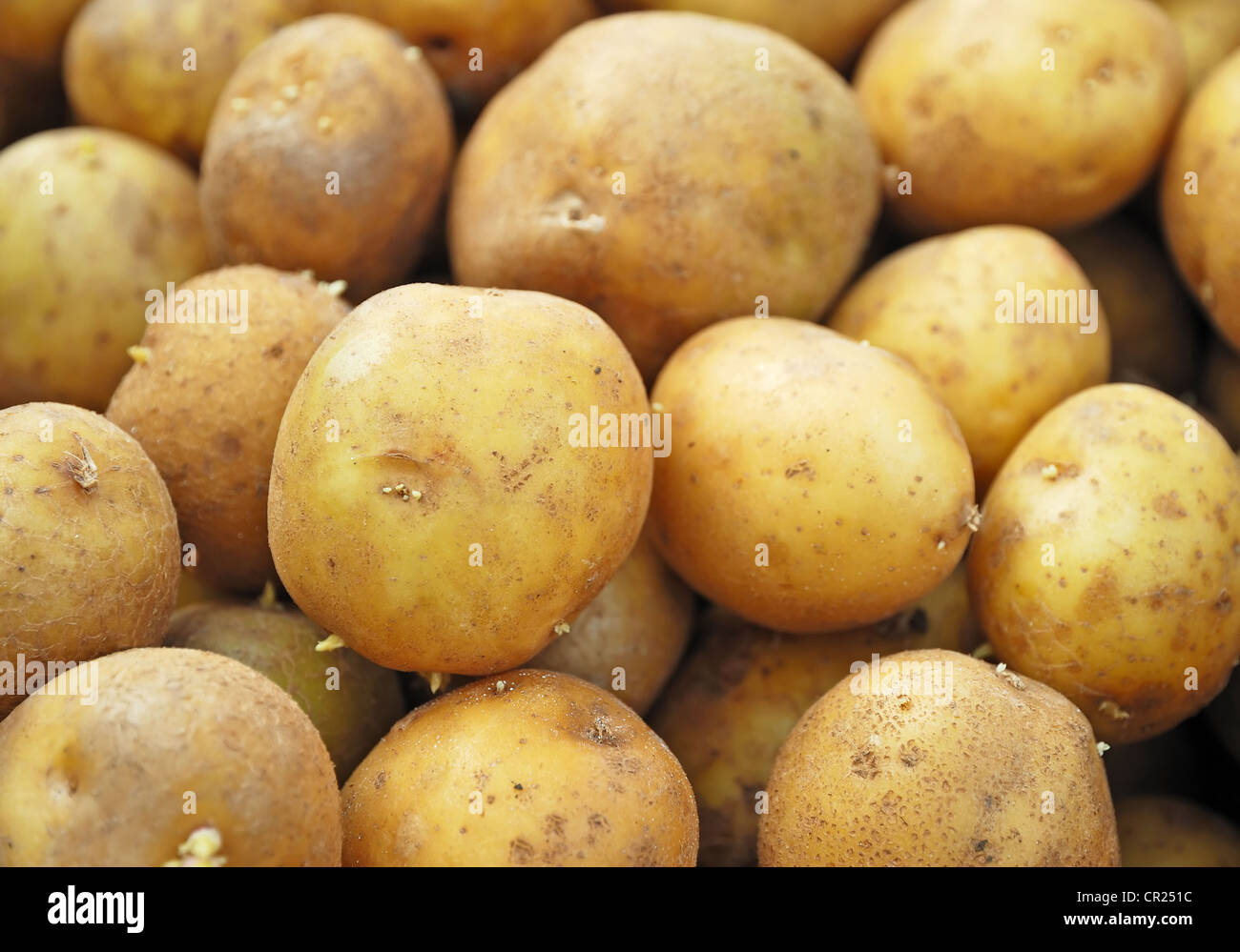 The heap of potatoes Stock Photo - Alamy