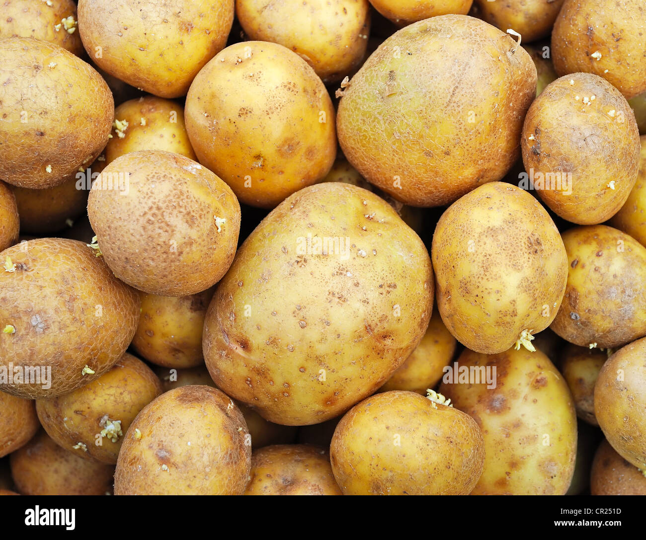 The heap of potatoes, top view Stock Photo - Alamy