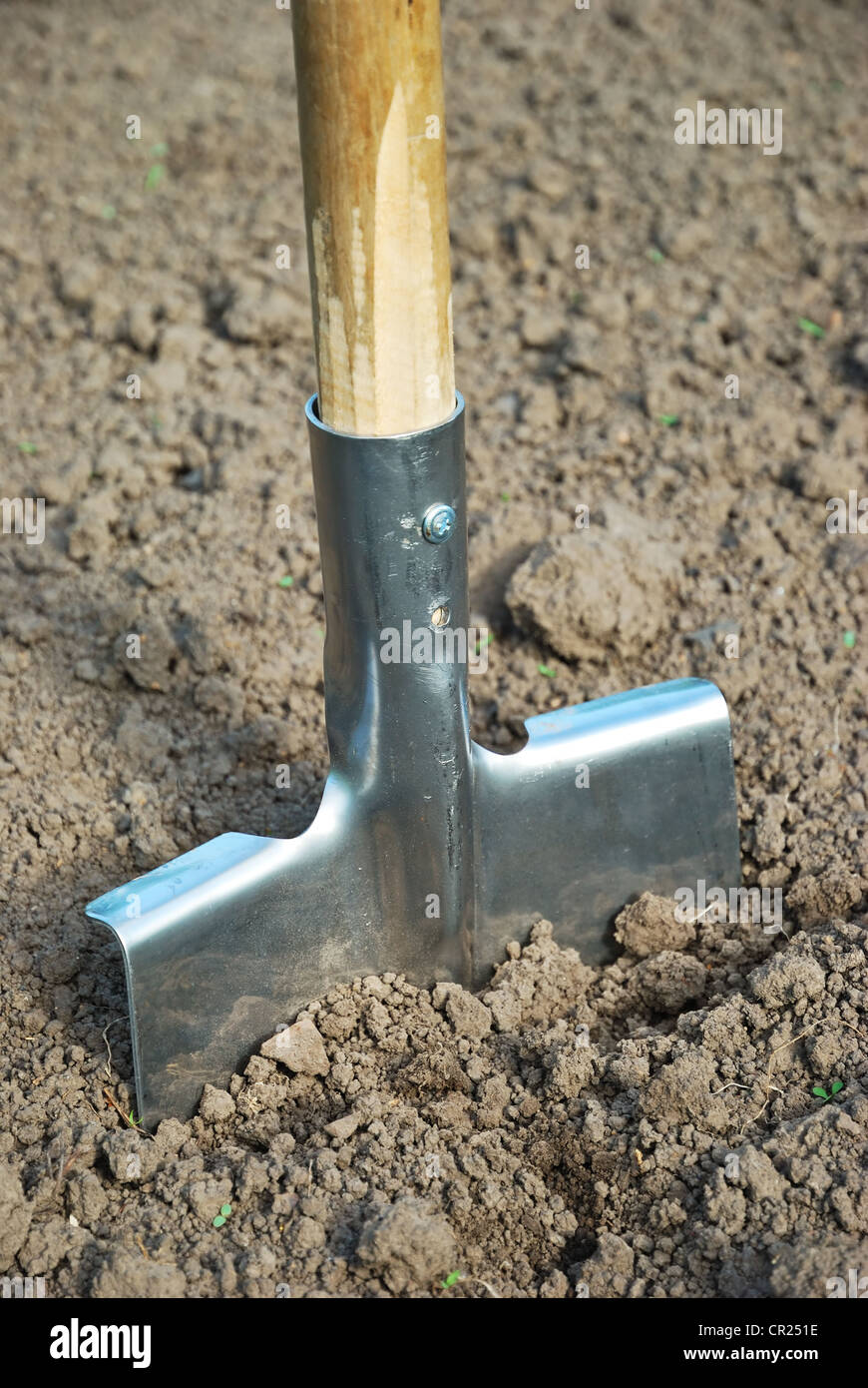 Shovel in the ground Stock Photo - Alamy