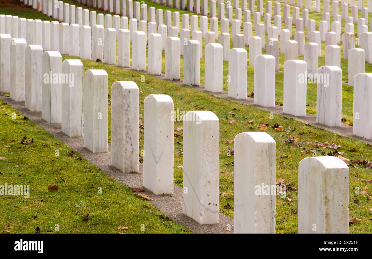 Military Graves in a Cemetery Stock Photo - Alamy