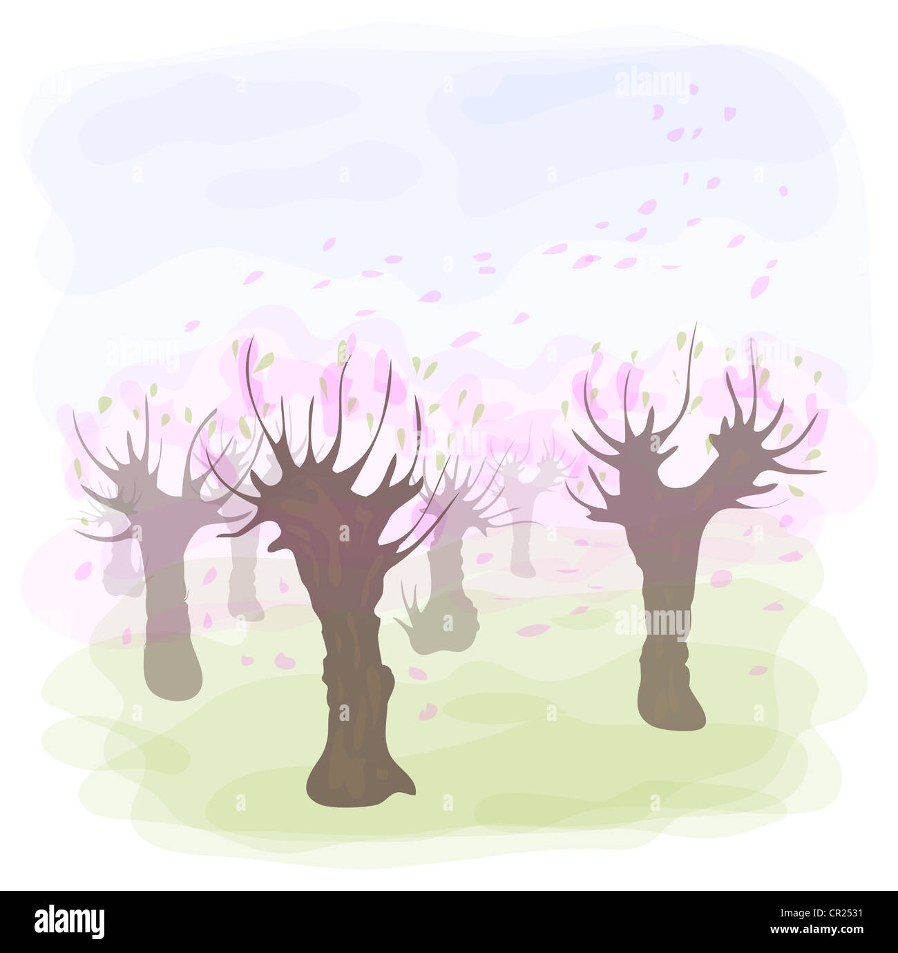 Landscaped front garden Cut Out Stock Images & Pictures - Alamy