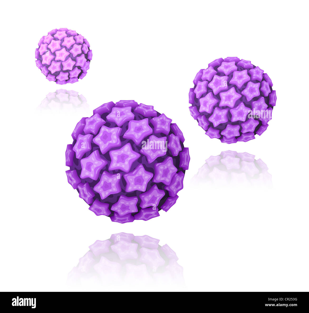 Human Papillomavirus Stock Photos & Human Papillomavirus Stock Images ...