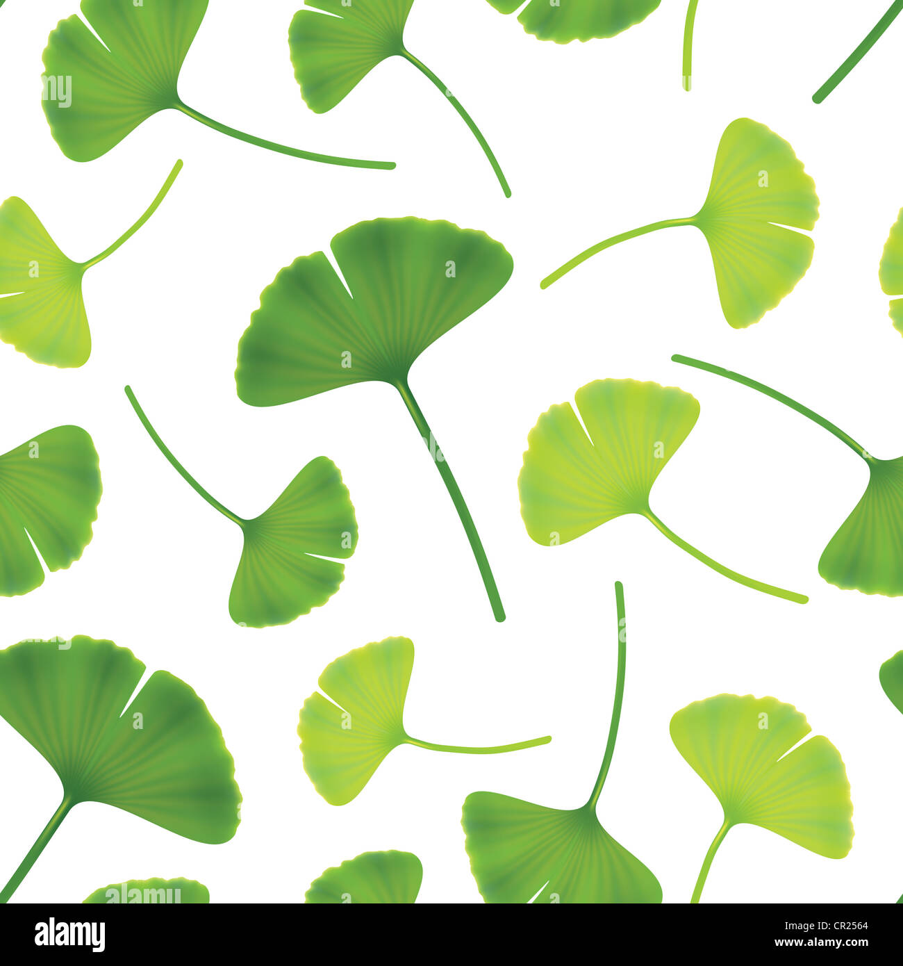 Leaves of ginkgo bilboa. Seamless vector illustration Stock Photo - Alamy
