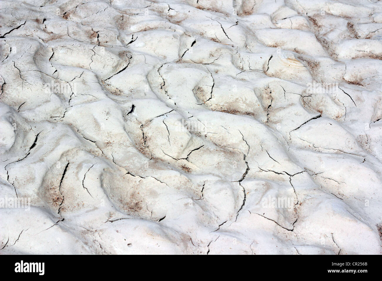 cracked clay ground into the dry season Stock Photo - Alamy