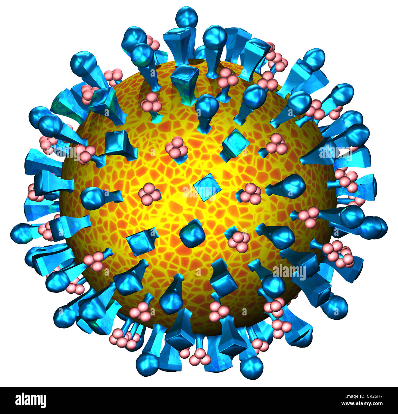 illustrations of the structure of a typical human virus Stock Photo - Alamy