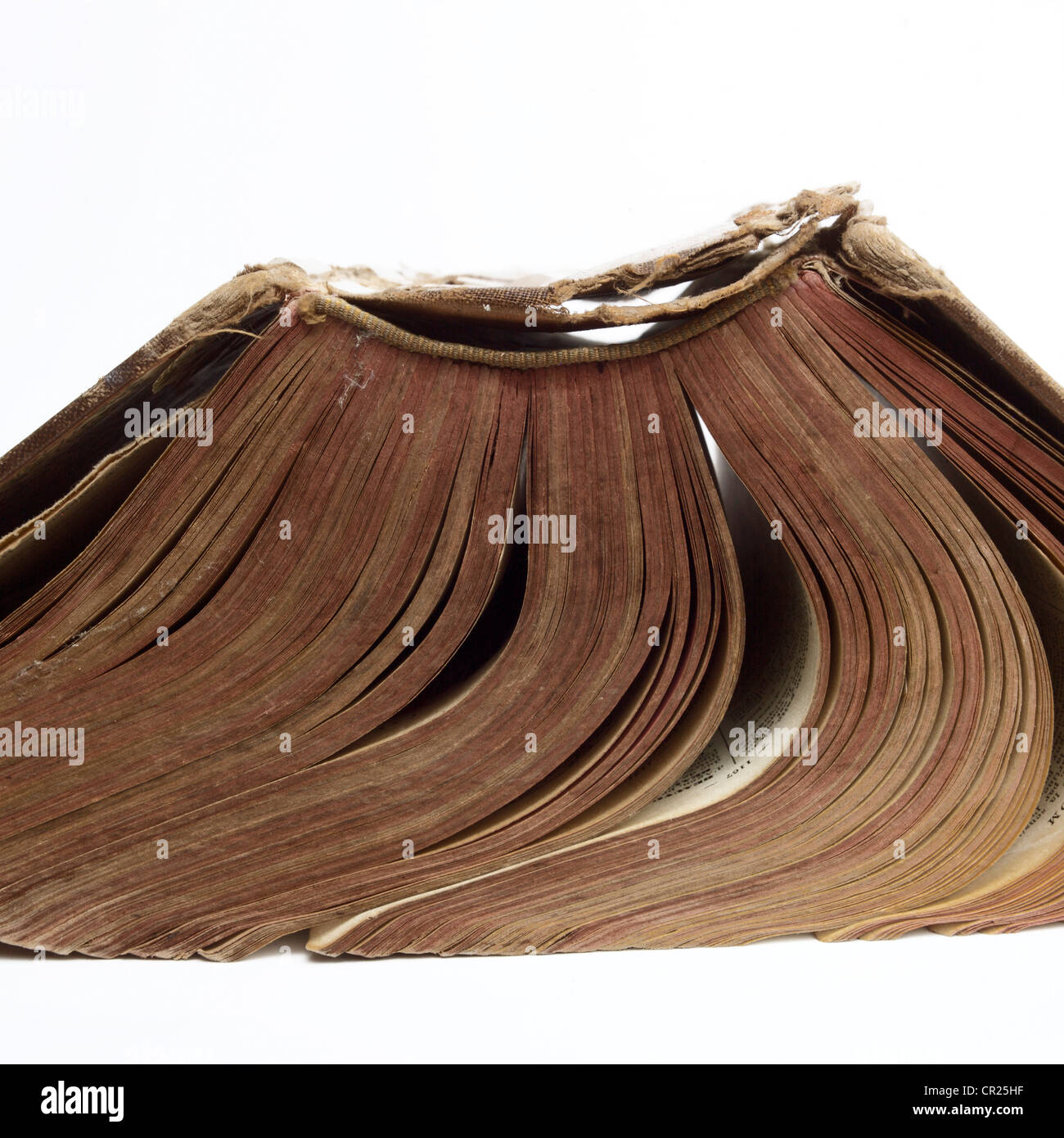 Old, well-used book showcasing worn pages and historical charm in close ...