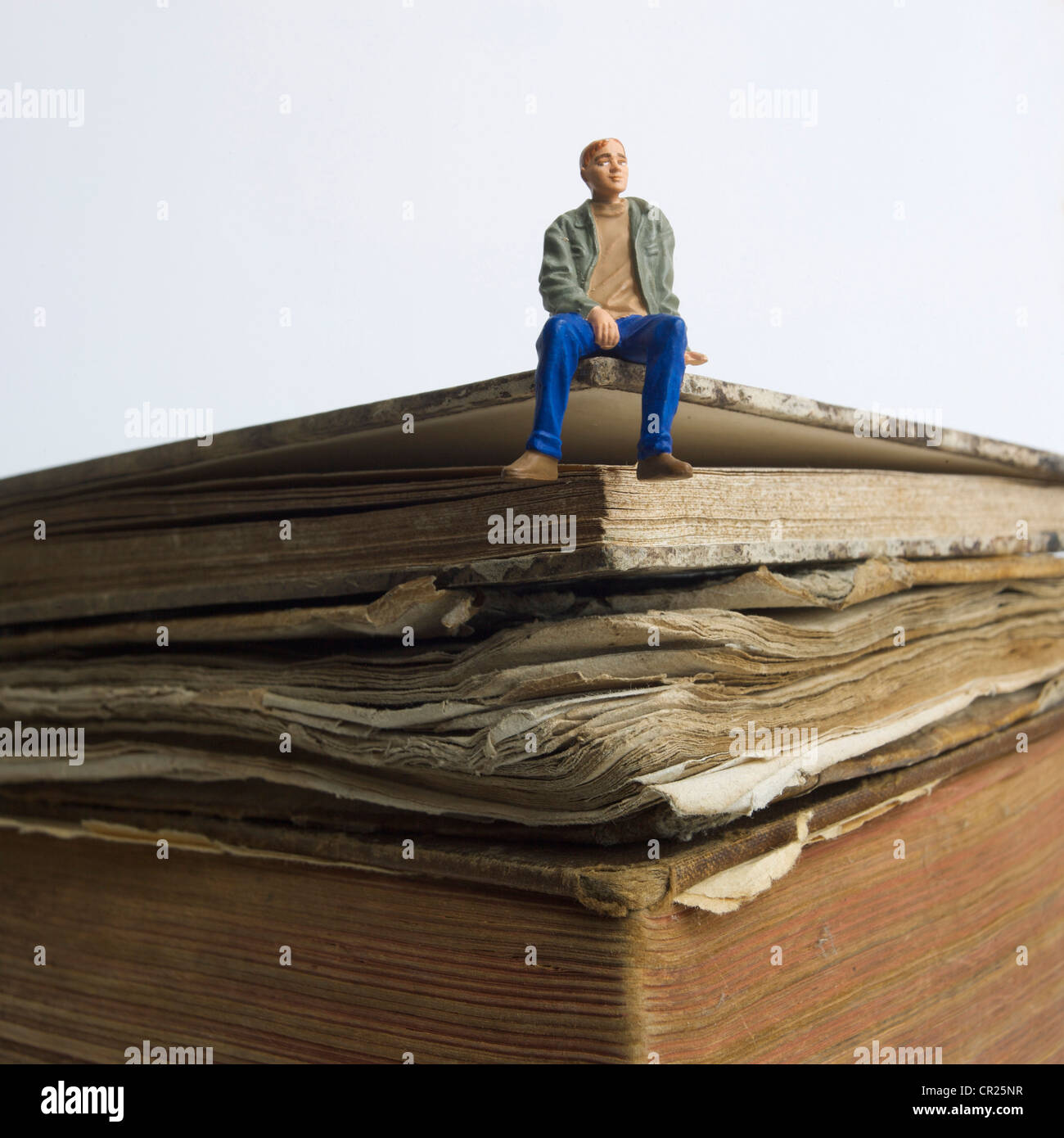 A small figure relaxes on a large stack of worn books, showcasing a ...
