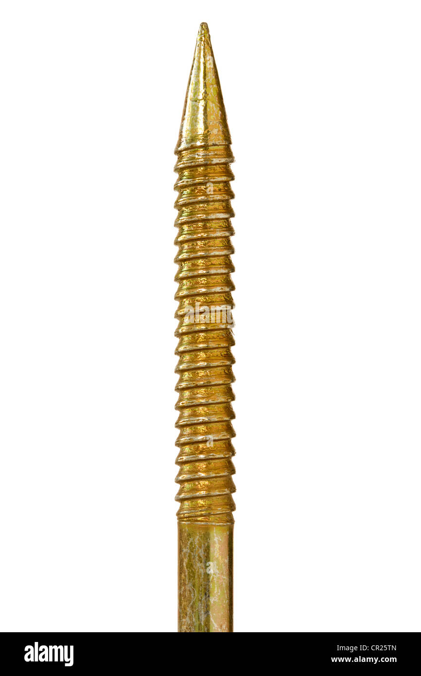 golden screw isolated over a white background Stock Photo - Alamy
