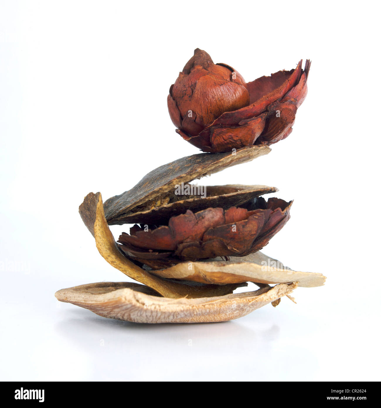 Natural materials hi-res stock photography and images - Alamy