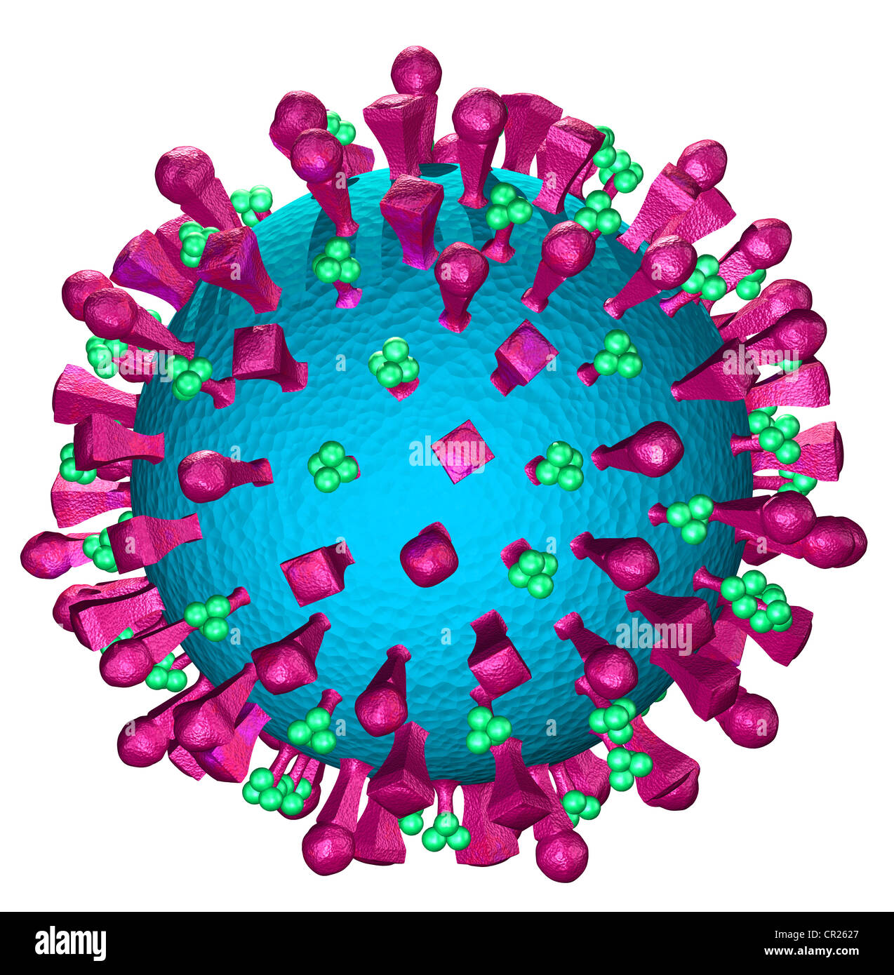 illustrations of the structure of a typical human virus Stock Photo - Alamy