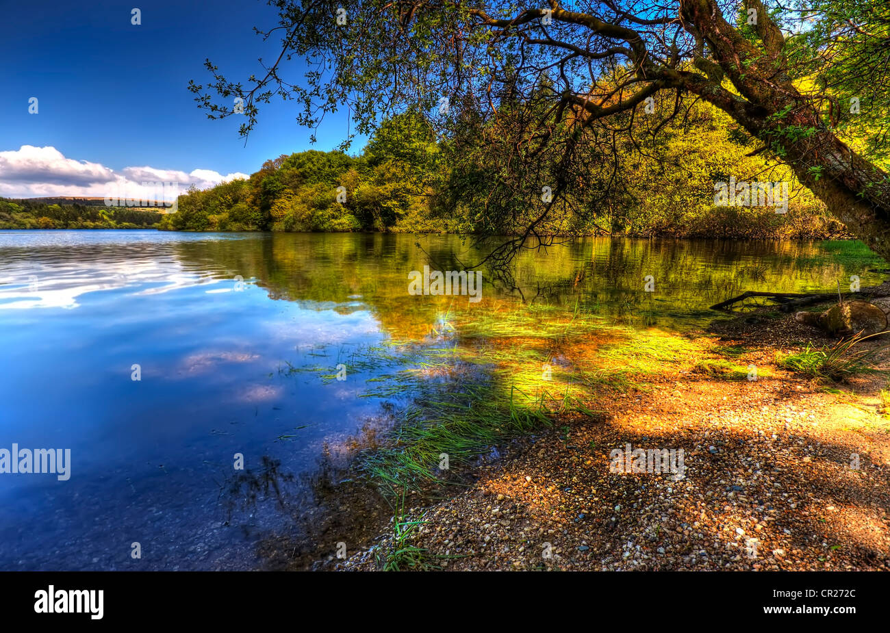 Burrator reservoir dartmoor national park hi-res stock photography and ...