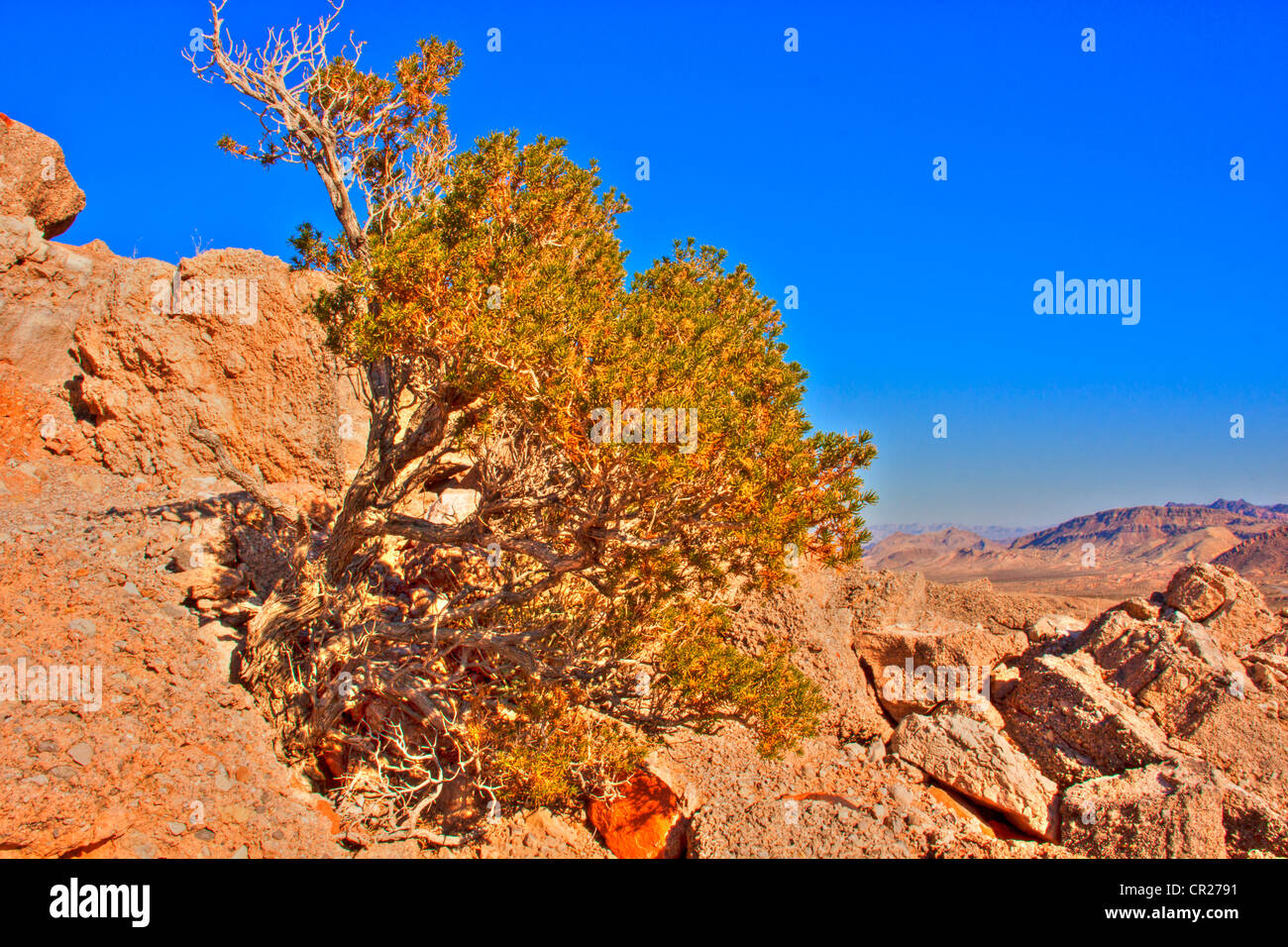 Mojave desert just outside Las Vegas, Nevada, USA Stock Photo - Alamy