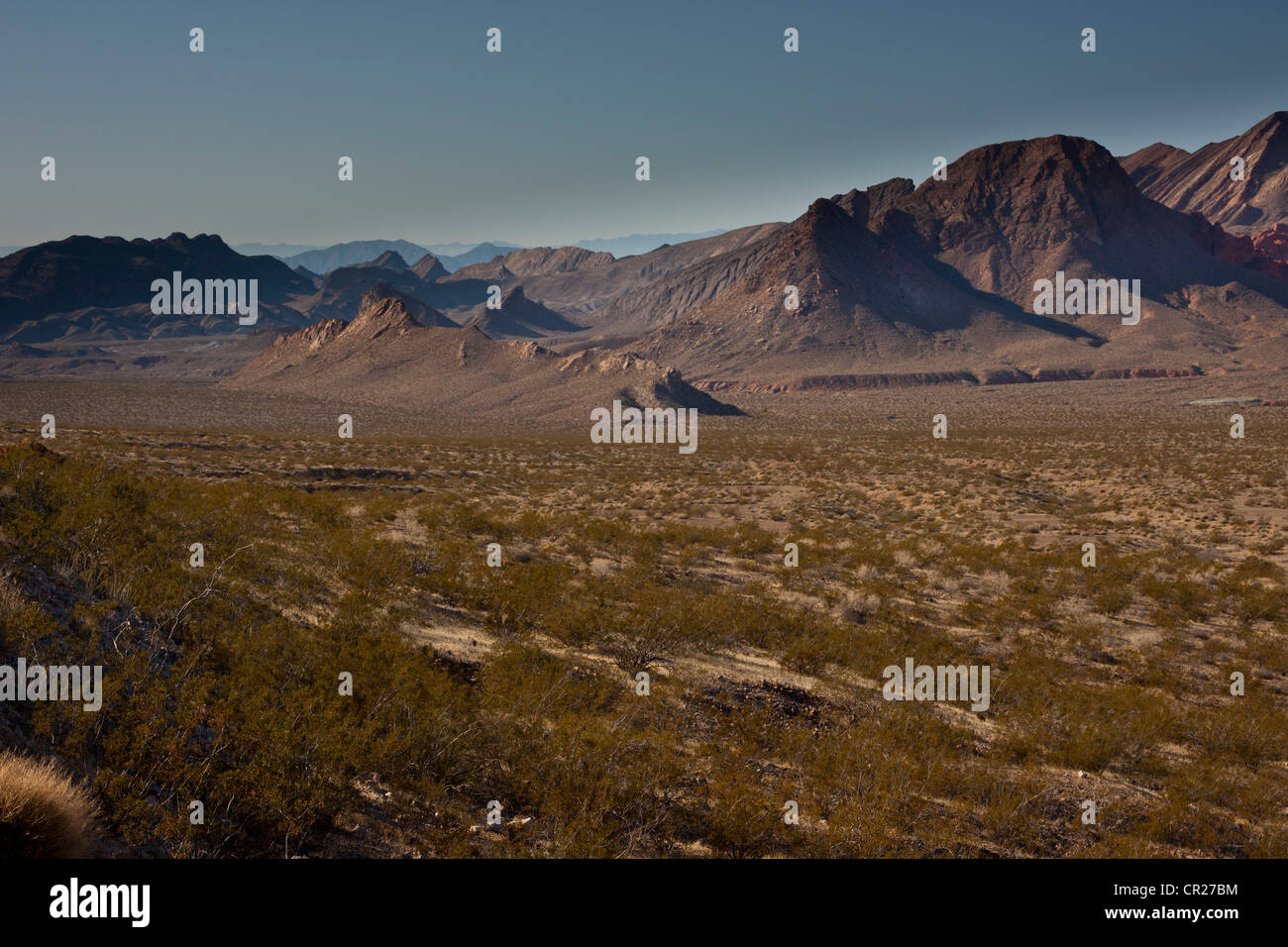Mojave desert just outside Las Vegas, Nevada, USA Stock Photo - Alamy