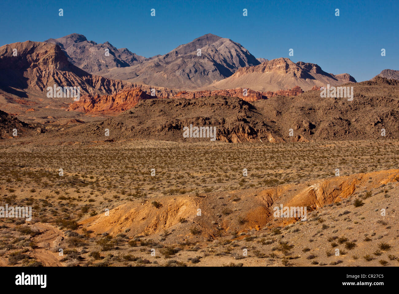 Mojave desert just outside Las Vegas, Nevada, USA Stock Photo - Alamy