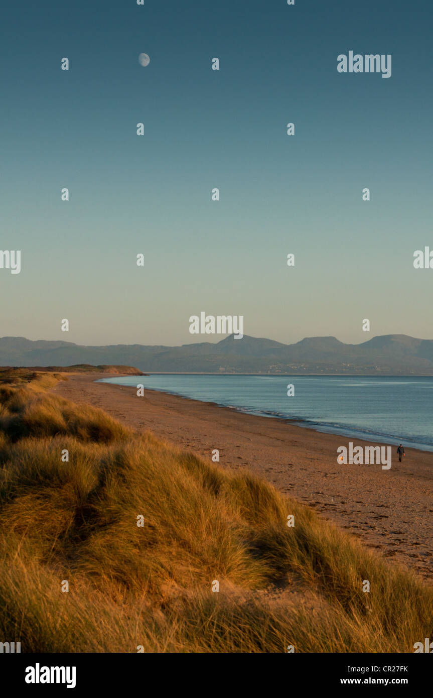 The Dwyfor coast curves from Abererch towards the Rhinog mountains with ...