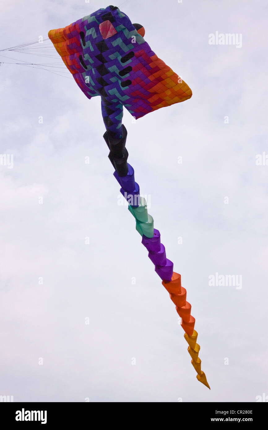 Mutli-colored kite in the form of a manta ray fish soaring on a breeze ...