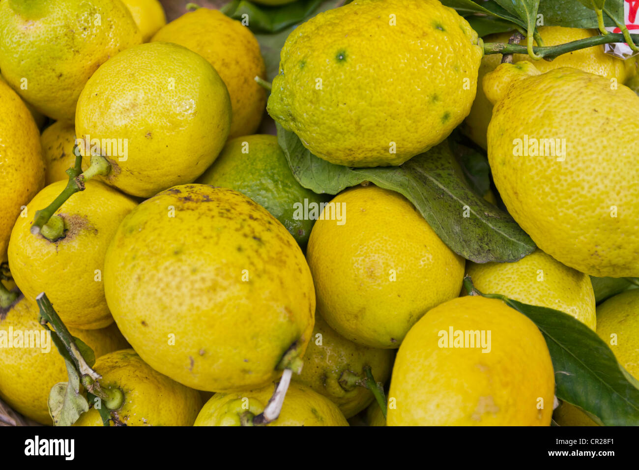 Greed island hi-res stock photography and images - Alamy