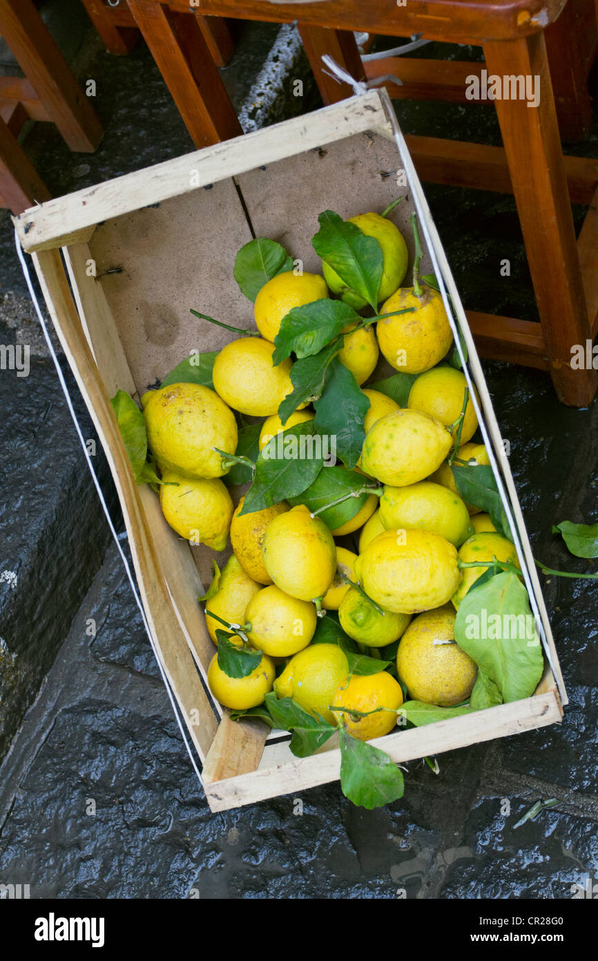 Vendors tray hi-res stock photography and images - Alamy